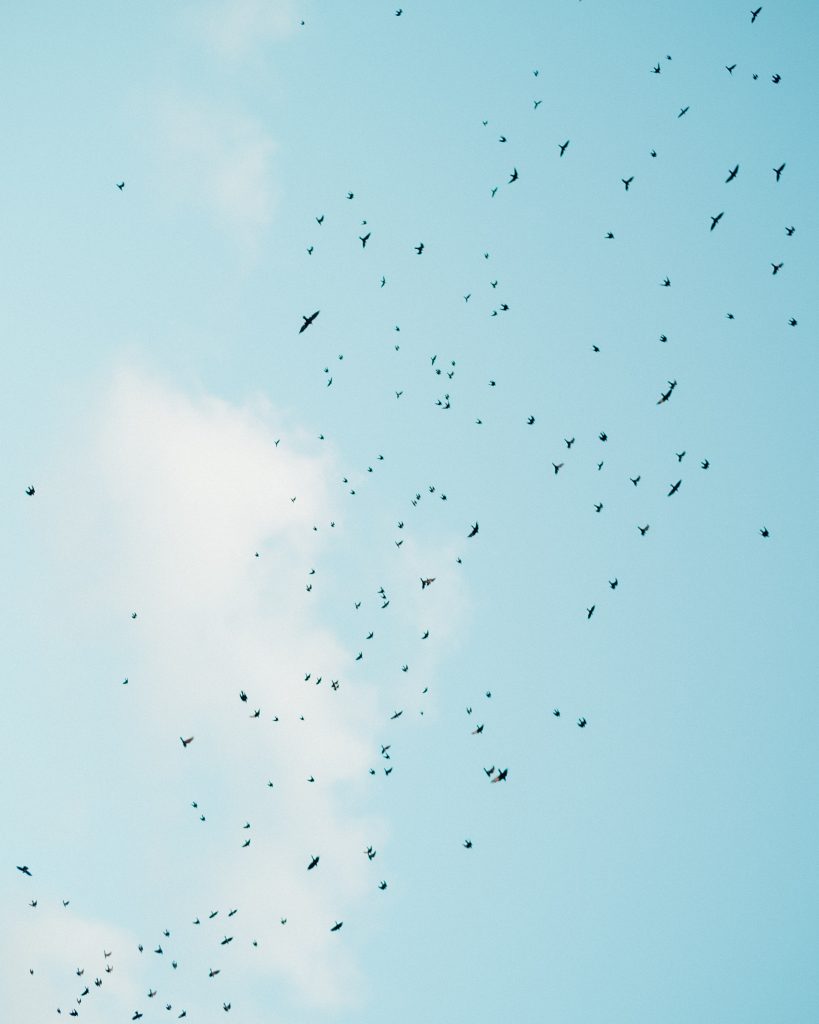 Why Migrate Azure VMs to VMware: The Benefits Why Migrate Azure VMs to VMware: The Benefits