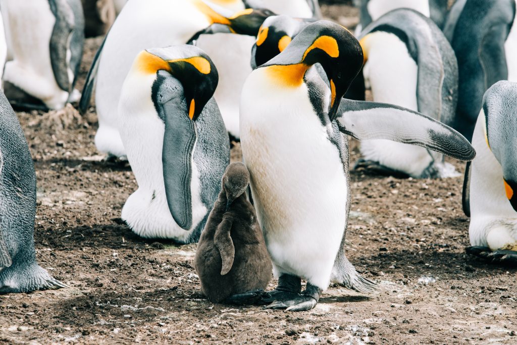 Why Migrate Azure VMs to VMware: The Benefits Why Migrate Azure VMs to VMware: The Benefits